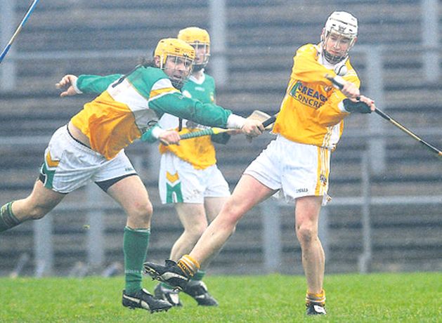 GAA in mire after relegation gaffe | Irish Independent