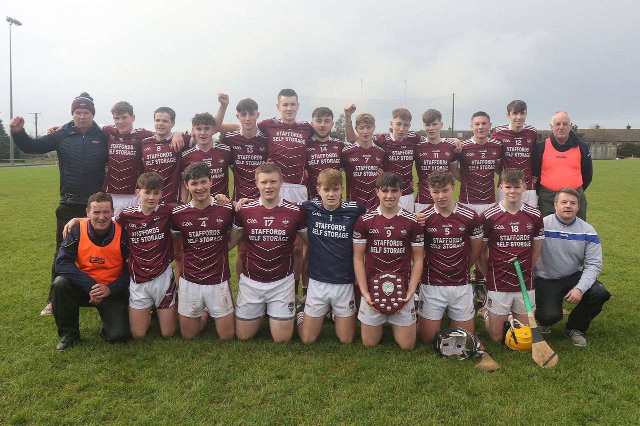 Fanning shines for Liam Mellows as they see off Rapparees | Irish ...