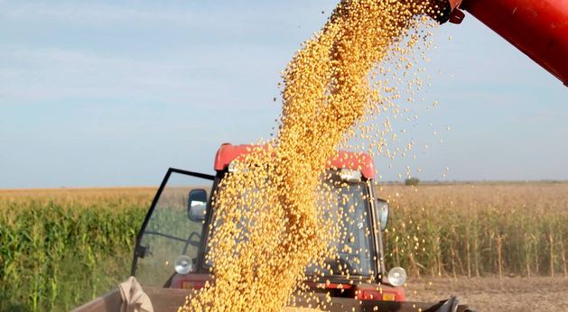 Expanding Irish agriculture 'poses climate challenge' | Irish Independent