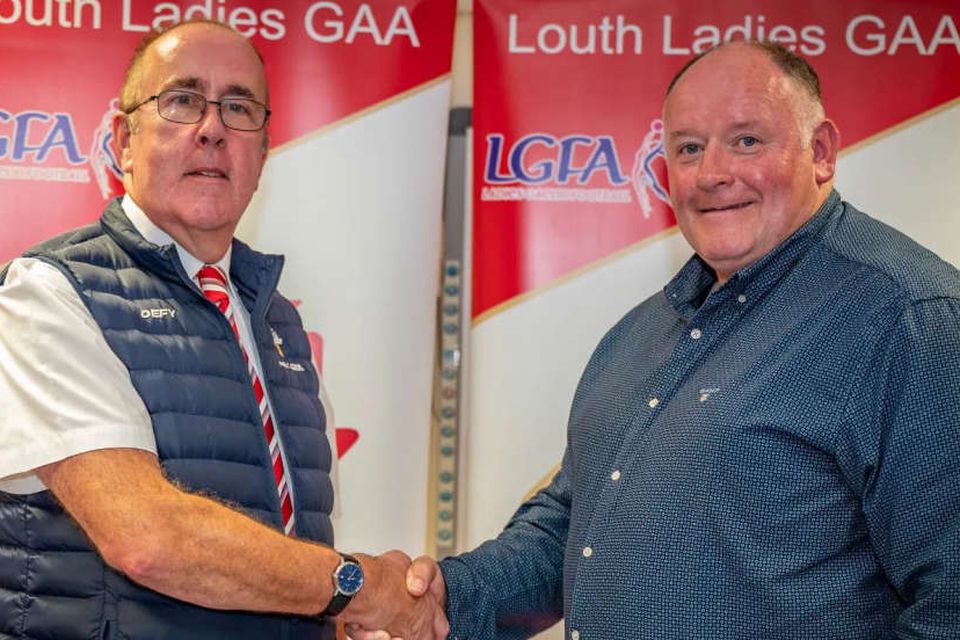 Kit Henry is looking to ‘hit the ground running’ with Louth having ...