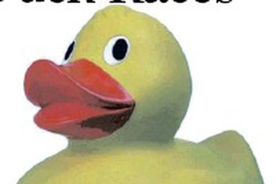 Huge crowd expected for Foulksmills Duck Races | Irish Independent