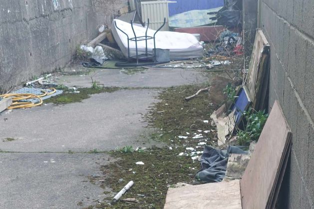 Laneway at Wexford estate has become ‘free for all’ dumping ground as ...