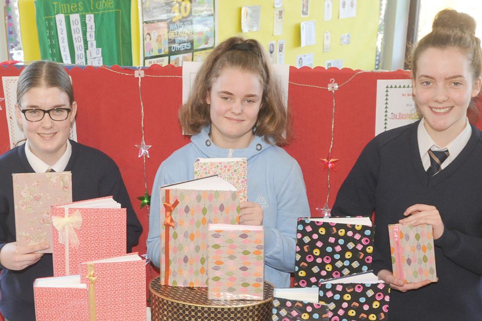 Creative St Brigid's School students ready for success | Independent.ie