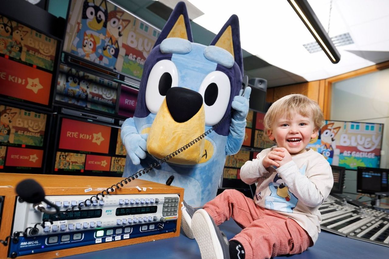 Bluey as Gaeilge to hit Irish screens on Easter Monday | Irish Independent