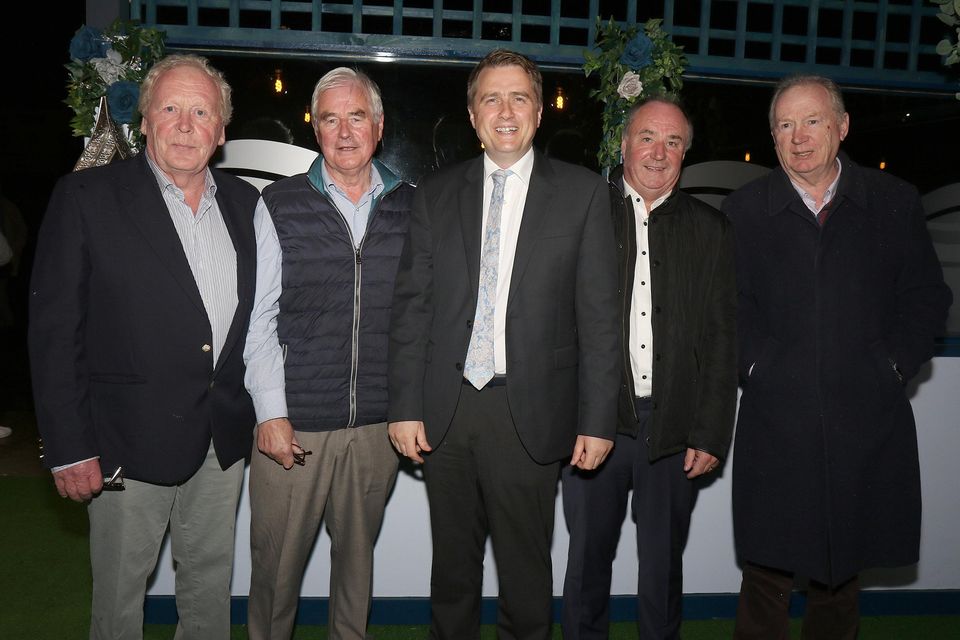 Glenbrien's history reflected in new wall mural | Irish Independent