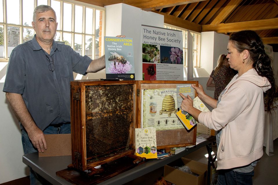 Johnstown Castle designated as official conservation area for the wild ...