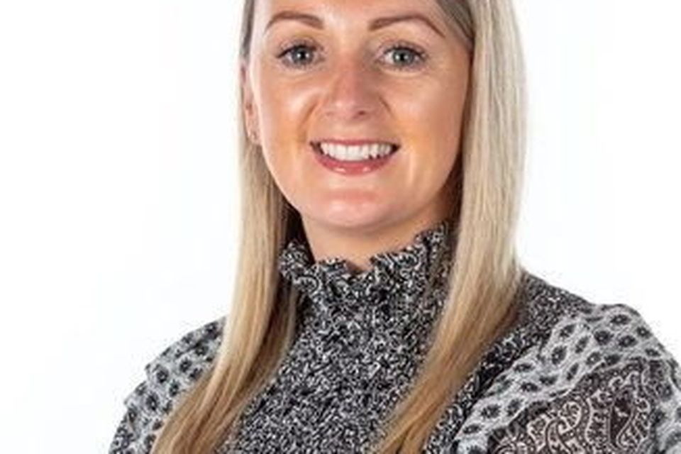 County Wexford Chamber set to release three-year strategic plan | Irish ...