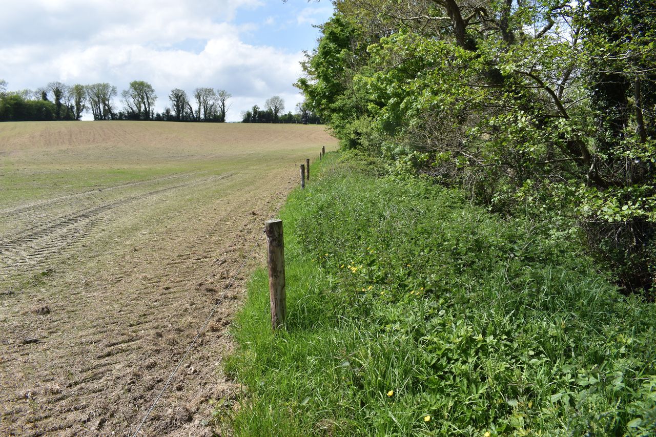 ACRES co-operation farmers advised to apply for simple field margin ...