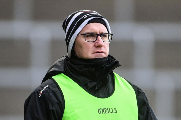 Fantastic start to new campaign says McEntee | Irish Independent