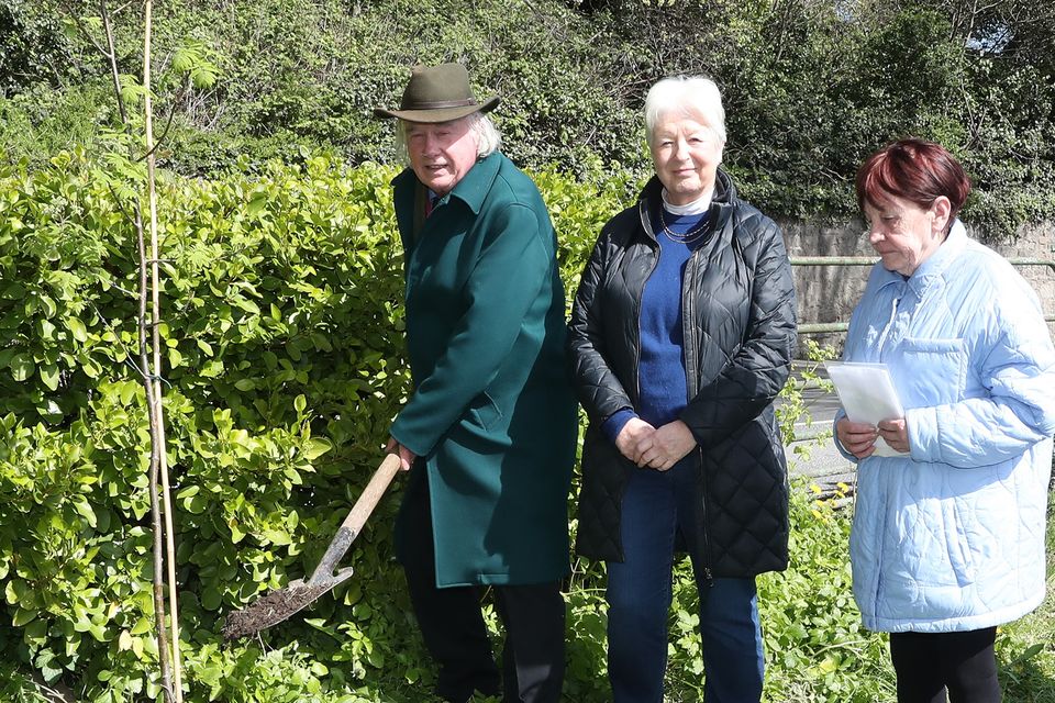 Remembering Jimmy with tree and plaque on first anniversary | Irish ...