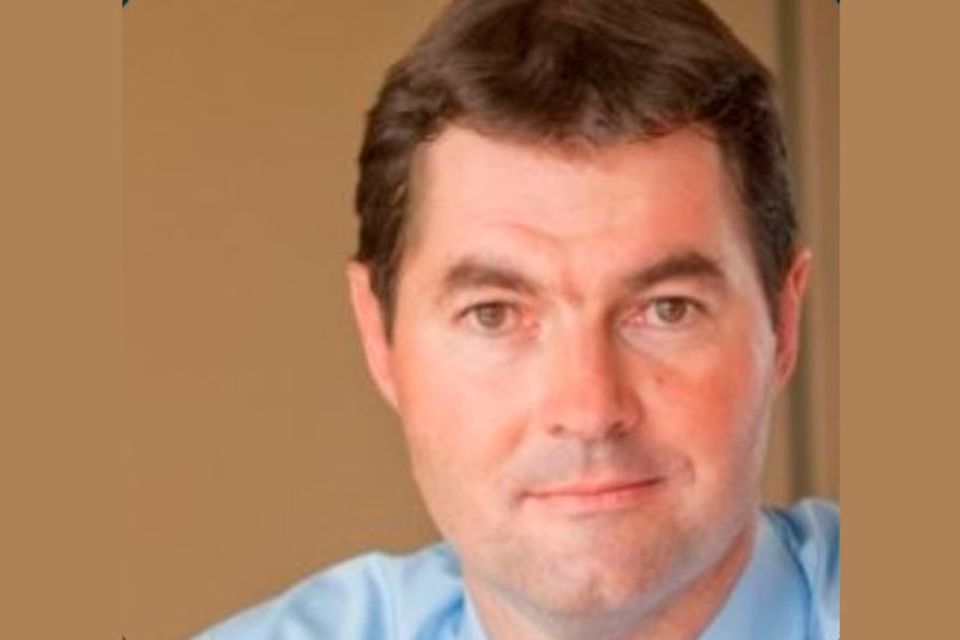 Top vet cleared over calves left to rot on family farm in Fermanagh ...