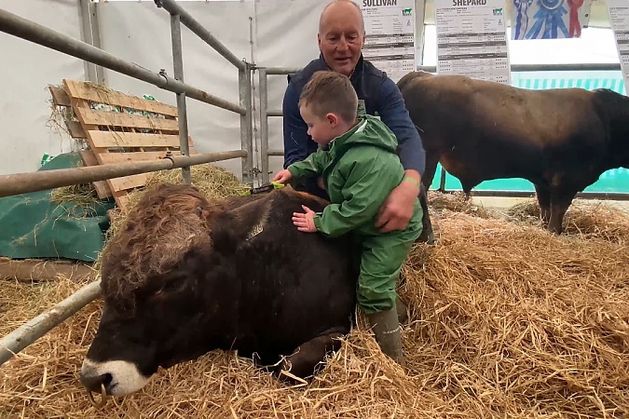 Crowds brave mucky conditions on day 2 of the Ploughing Championships ...