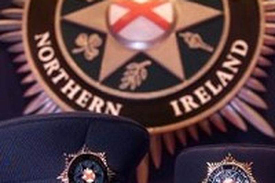 New scheme to help police partners | Irish Independent