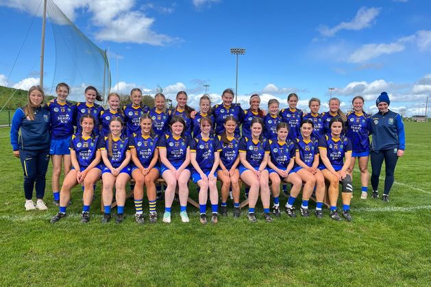 Brave Wicklow fall short in Division 4 camogie league final against ...