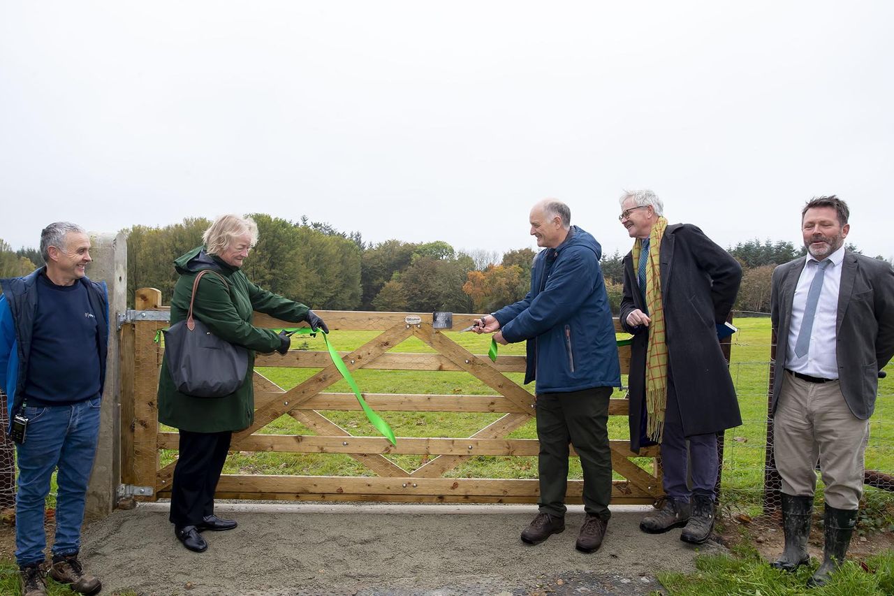 Groundbreaking Conifer study at JFK Arboretum | Irish Independent