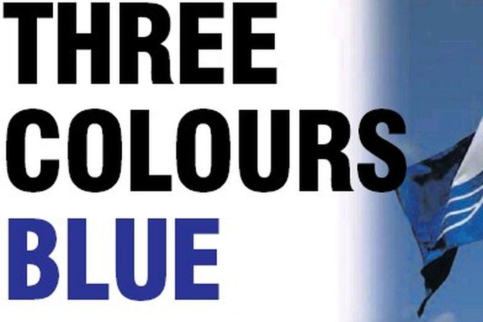 THREE COLOURS BLUE | Irish Independent