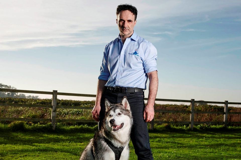 'Supervet' scrubs up for more bionic miracles | Irish Independent