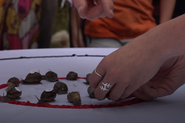 World Snail Racing Championships take place | Irish Independent