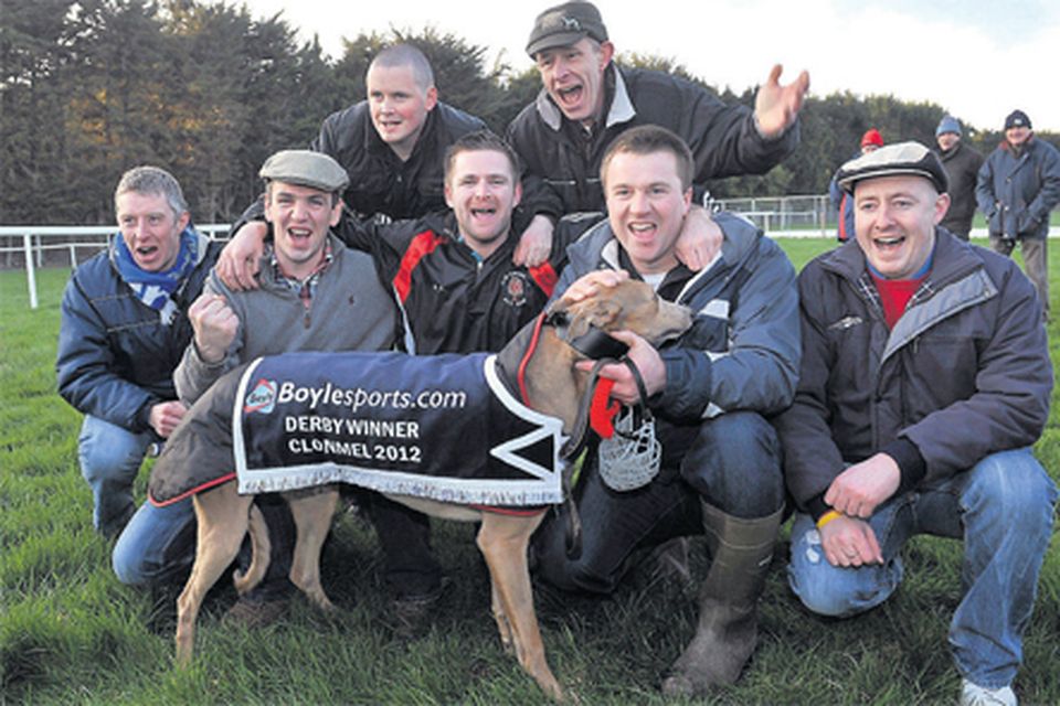 Coursing: Hare has the last laugh for Mel boys | Irish Independent