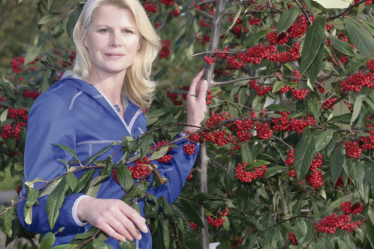 Gardening: Add a splash of colour with berries | Irish Independent
