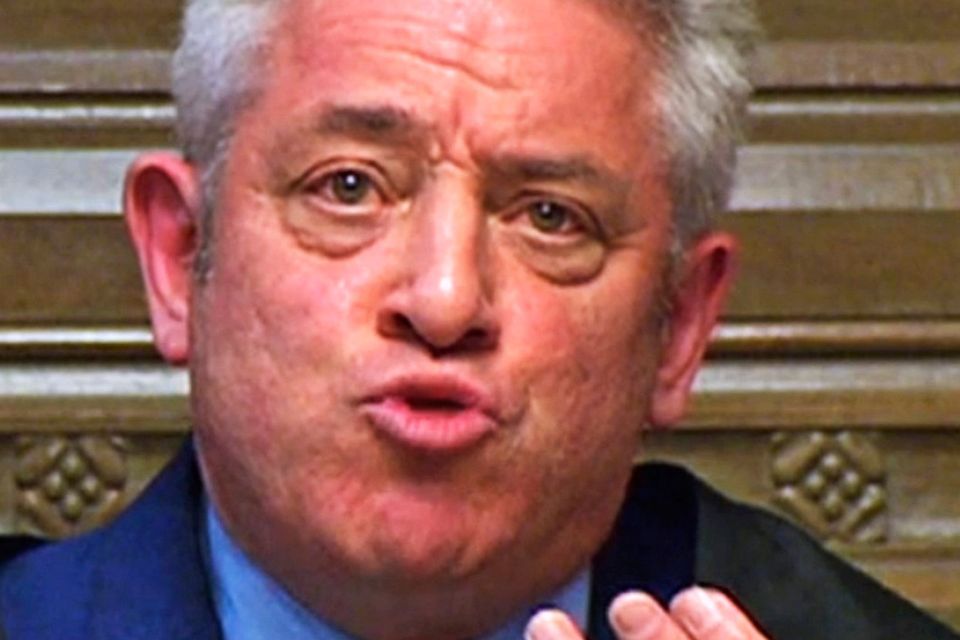 'Speaker John Bercow wallowed in the attention, like a hippo in a ...