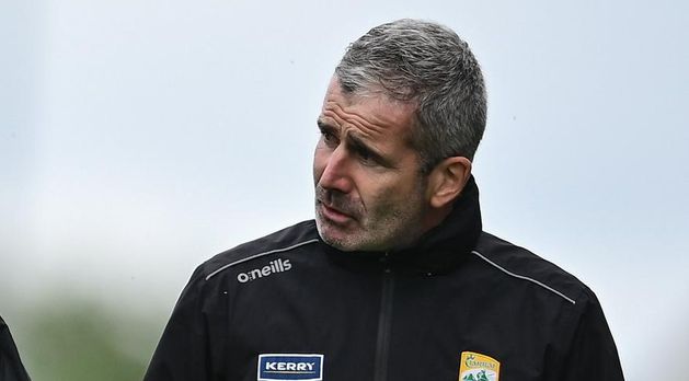 Mark Fitzgerald appointed new Limerick manager after Ray Dempsey steps ...