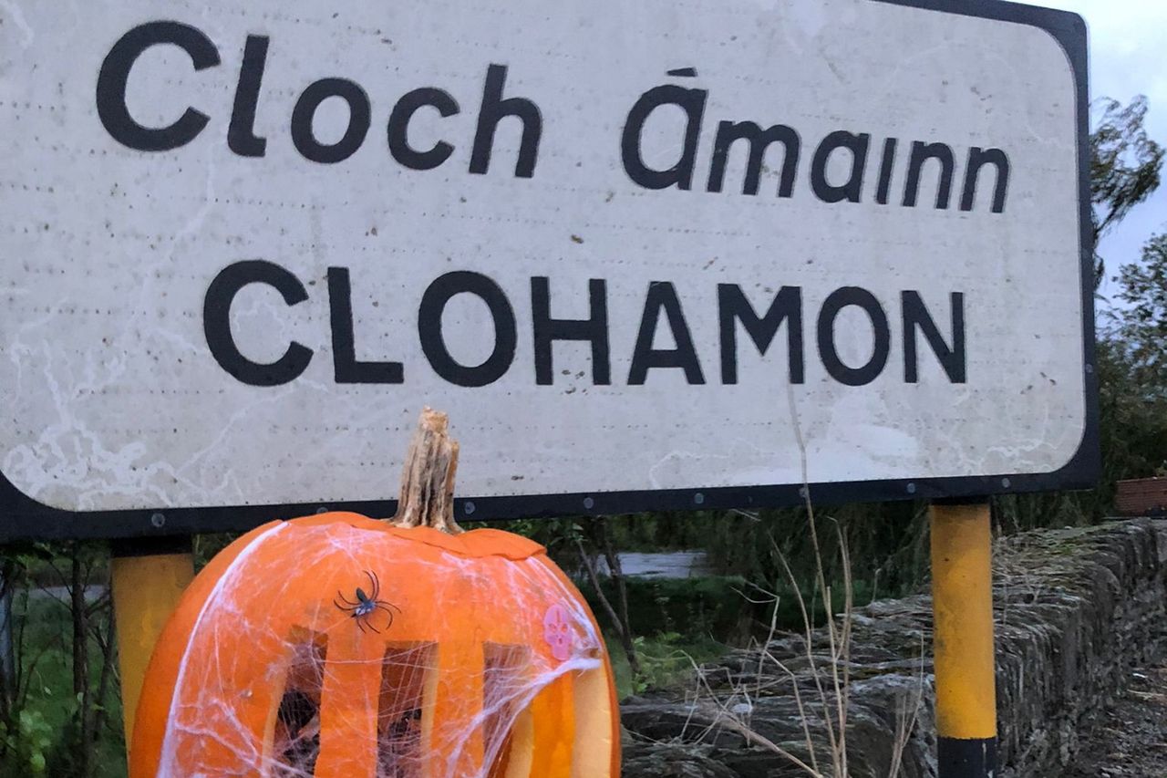 Clohamon Foróige wins regional Tidy Towns award | Irish Independent