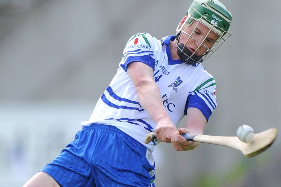 Treanor and Lambe spark Farney revival | Irish Independent