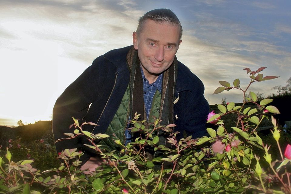 Dermot O’Neill: Deeply respected ‘gentleman’ gardener, broadcaster ...