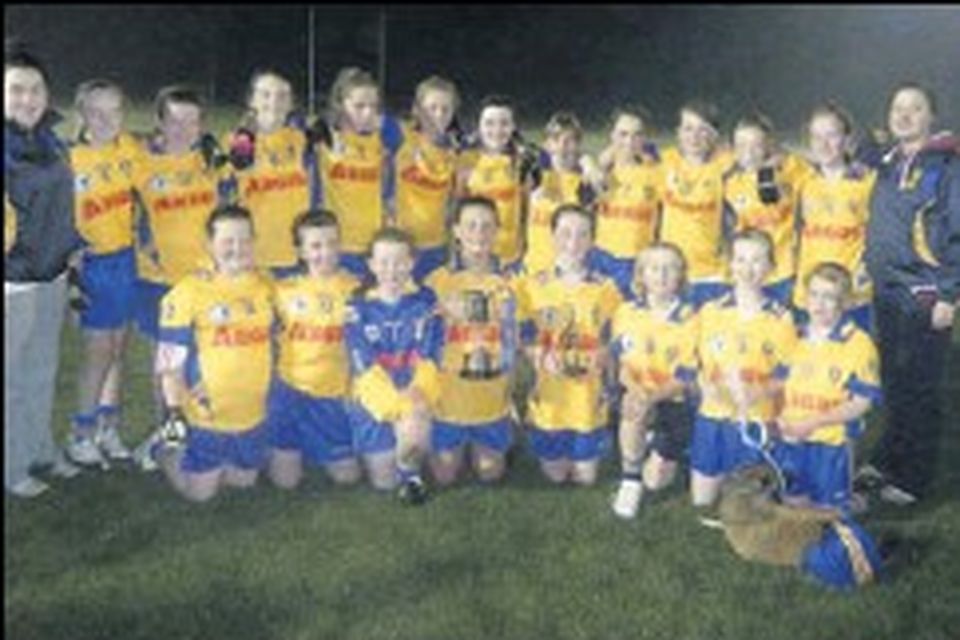 St Mochta's do the double | Irish Independent