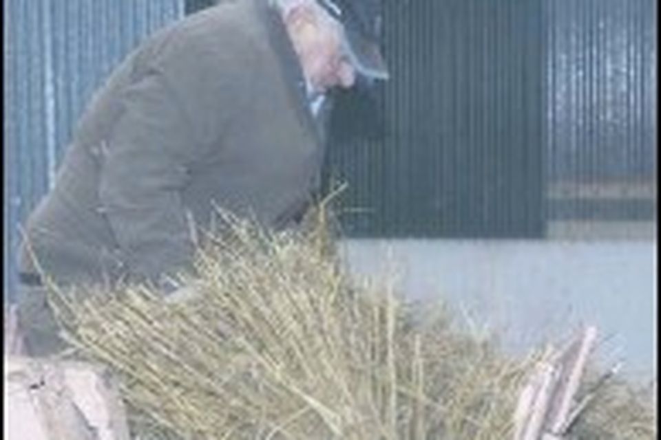Threshing day brings us back in history | Irish Independent