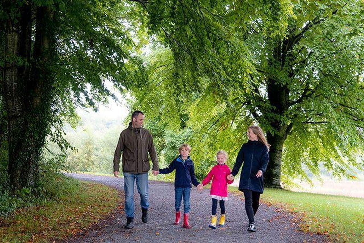 Popular Limerick woodland park set to get €280k as part of nationwide ...