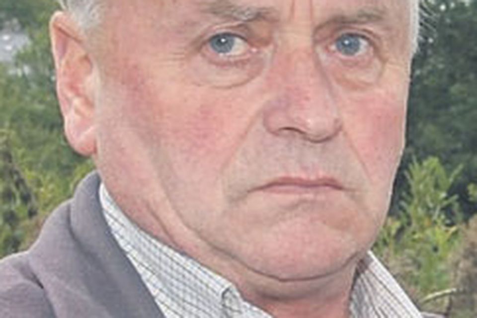 Man called gardai before brother-in-law shot him dead before killing ...