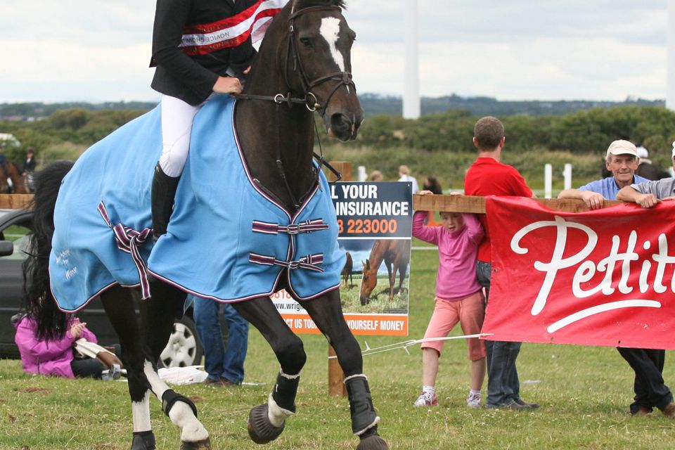 Young horse producers gear up for Bannow and Rathangan | Irish Independent