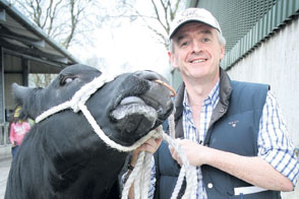 Political outcry over O'Brien and Kenny pictures is a load of bull ...
