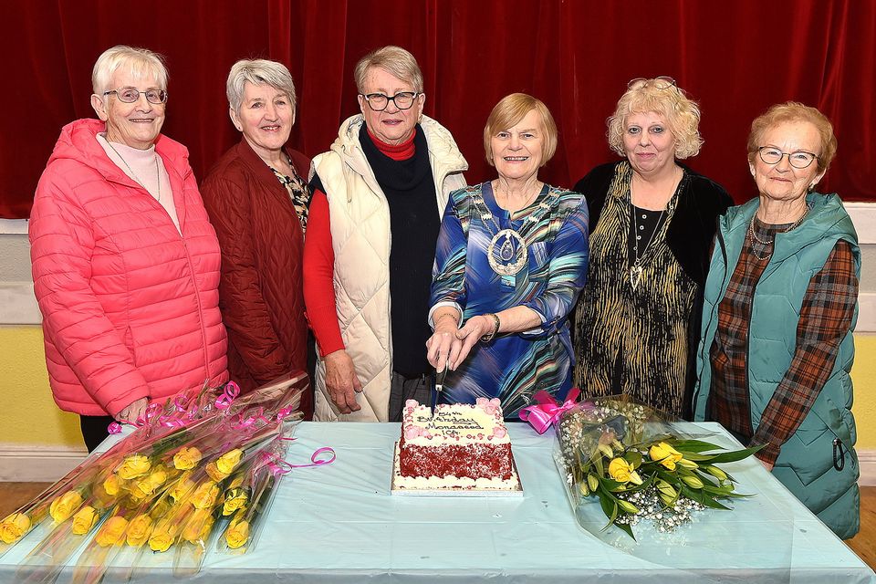 North Wexford ICA celebrate 54 years of friendship | Irish Independent