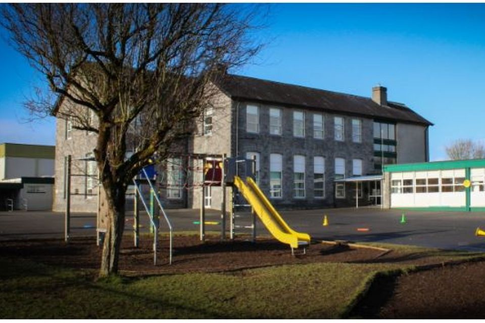 Planning permission lodged for extension to County Roscommon Primary ...
