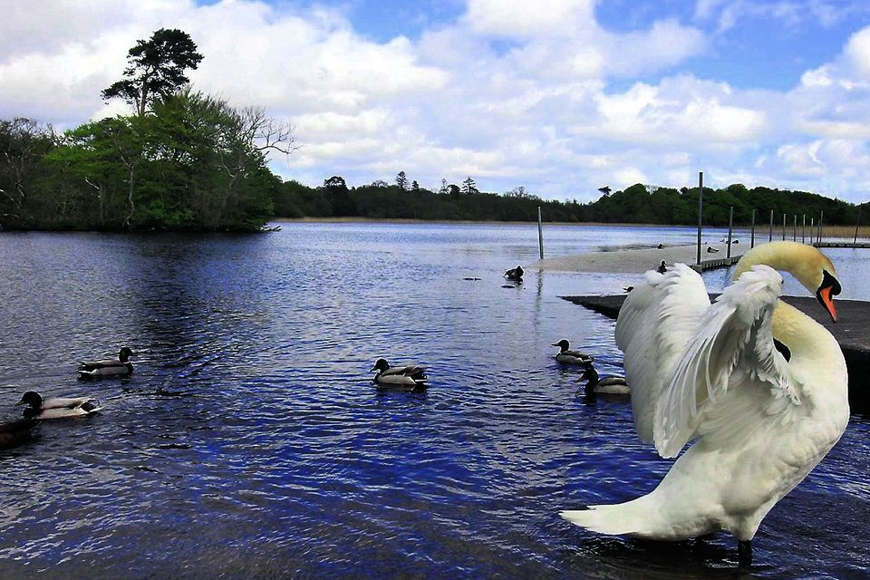 Area of great importance | Irish Independent