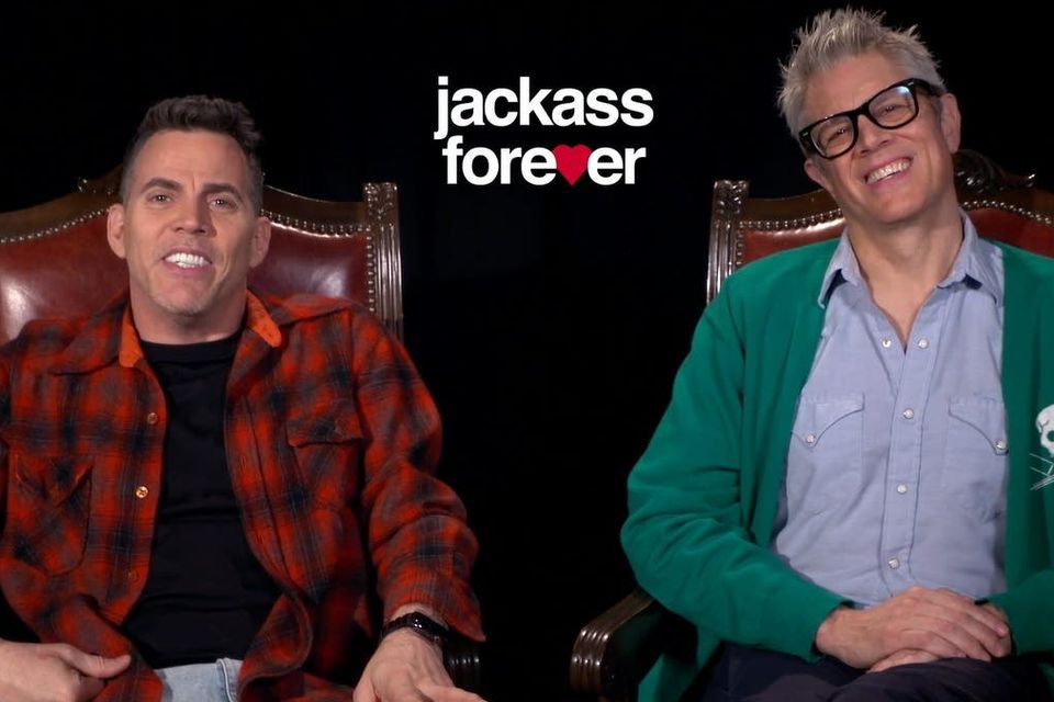 Jackass creators say US comedy stunt show is ‘wholesome’ | Irish ...
