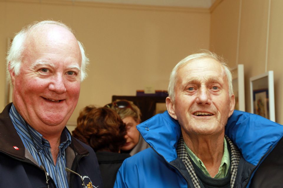 Askamore exhibition is a huge success for local artists | Irish Independent