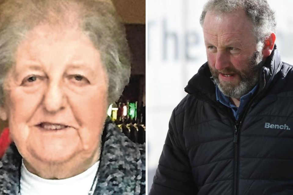 The Indo Daily: Michael Scott murder trial — the €1m farm, a missing ...