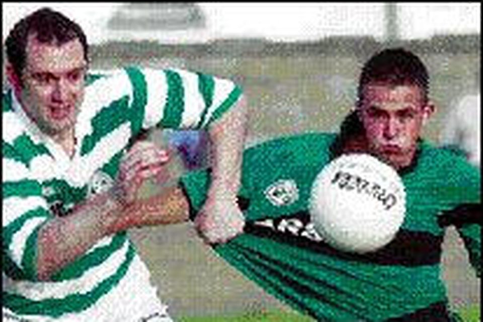 Young Irelands must take league route | Irish Independent