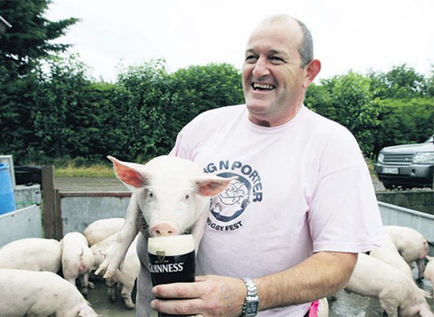 Stout and about Pig tags along | Irish Independent
