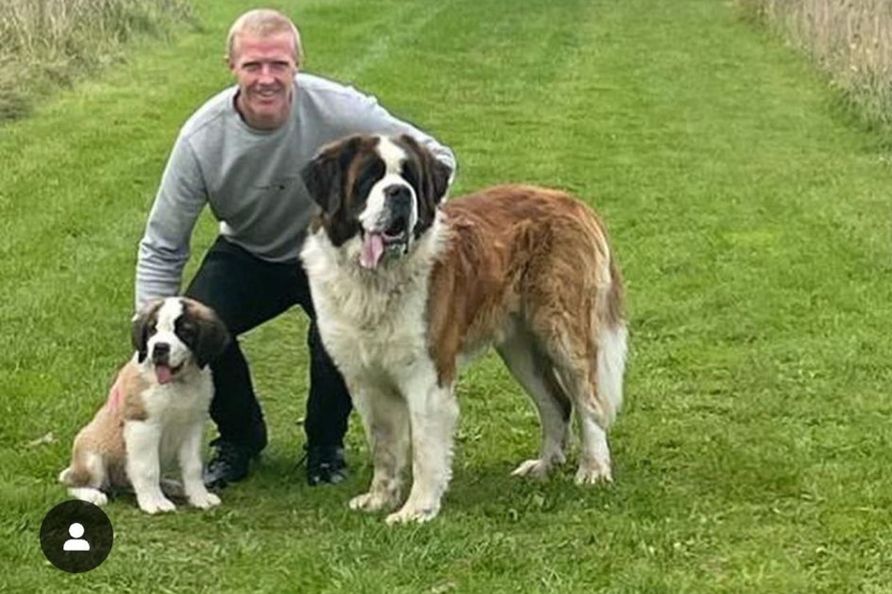 Kilkenny hurling legend Henry Shefflin issues urgent appeal to find his ...