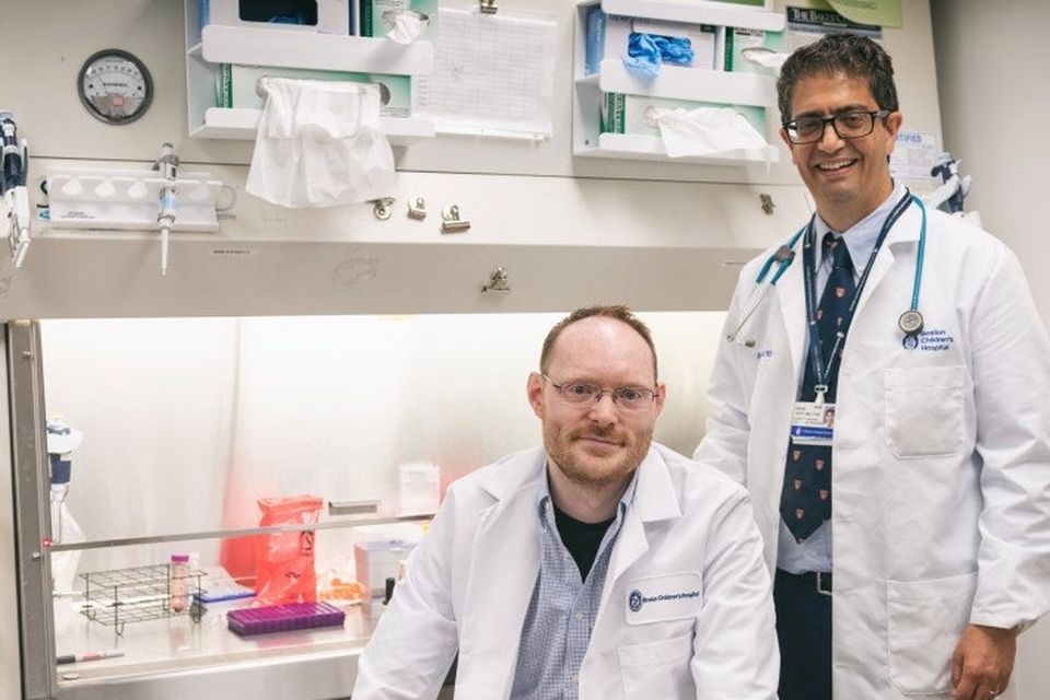 Covid-19: Meet the Irish immunologist working around the clock on a ...