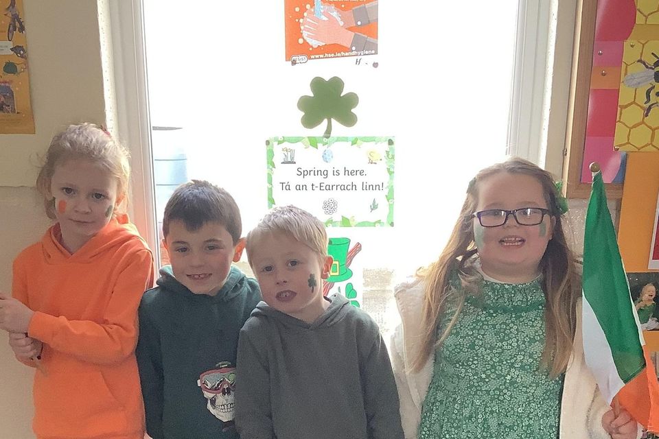 Castledockrell NS in County Wexford celebrates Irish heritage with ...