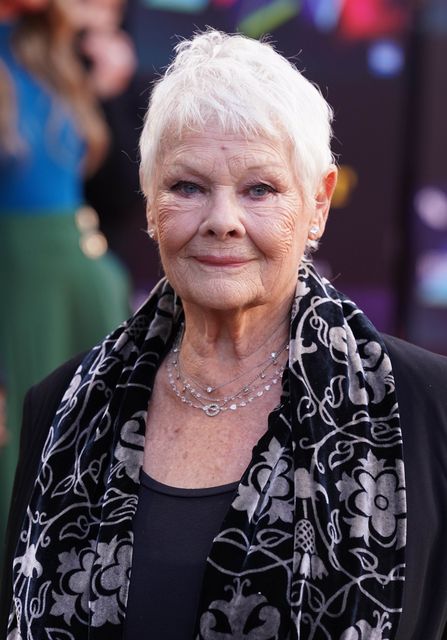 Louis Theroux to get up close and personal with Dame Judi Dench and ...
