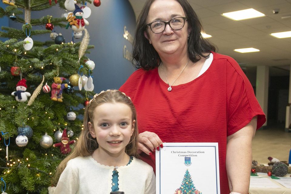 Winners announced for Wicklow County Council children’s recycled ...