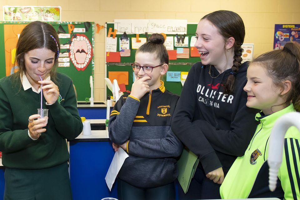 Around the Districts: Clonroche-Poulpeasty to Fethard | Irish Independent