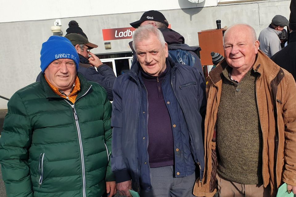 Around the Districts: Lixnaw to Rathea/Irremore | Irish Independent